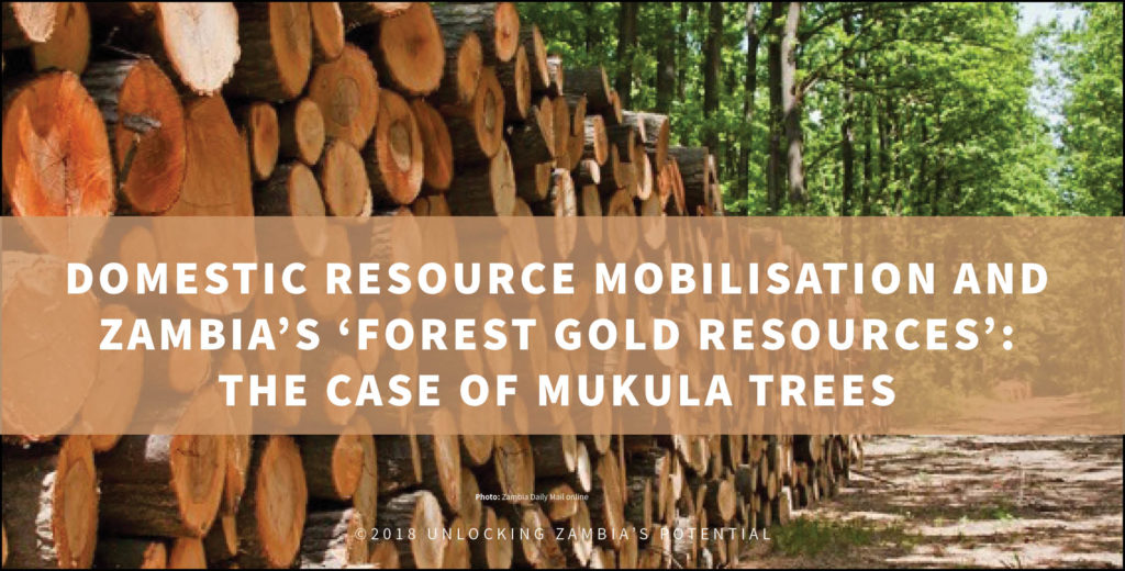 BLOG – Domestic Resource Mobilisation and Zambia’s ‘Forest Gold ...