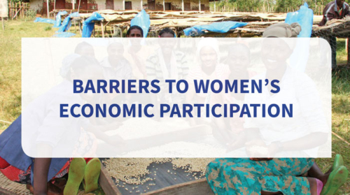 Blog – Barriers to Women’s Economic Participation – PMRC